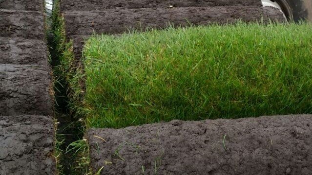 Fresh turf arrives from the nursery on Thursday 29th June! Call 02920 ...